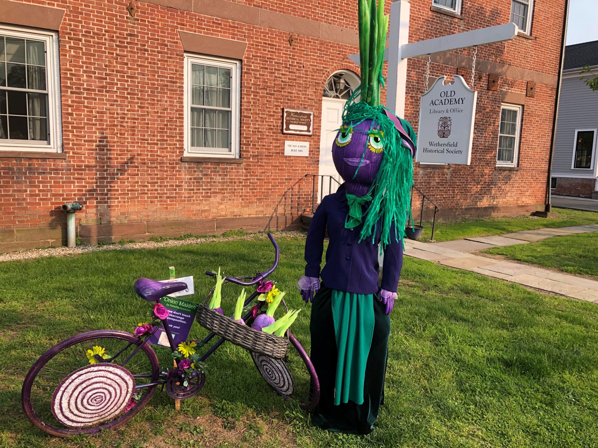 Oniontown: How Hard Work, Tall Tales, and Red Onions Built Wethersfield ...